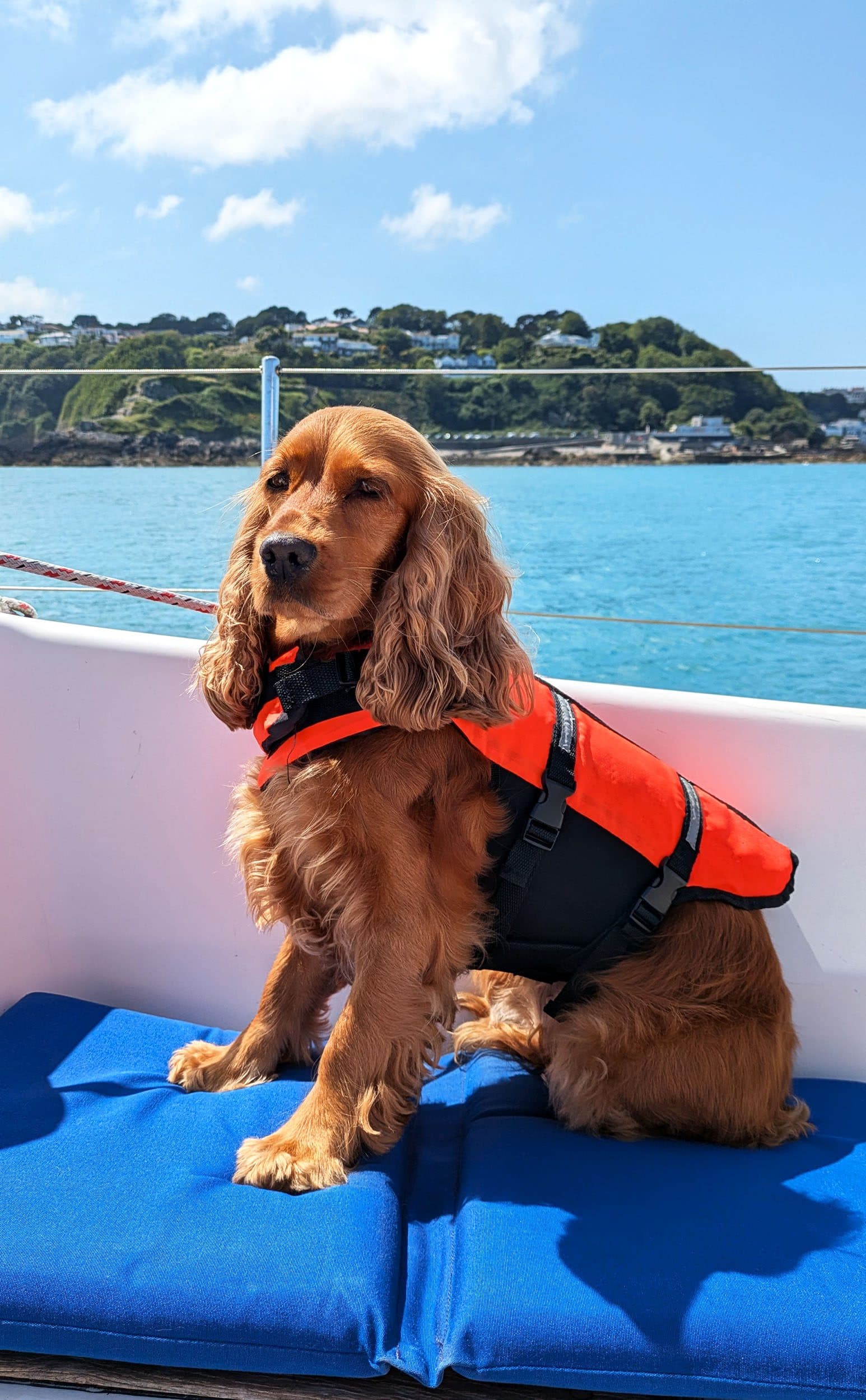 Customs & Immigration - Guernsey Marinas